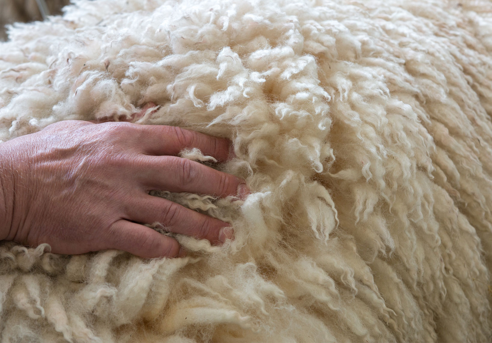 King furniture | Create a natural home with wool and linen